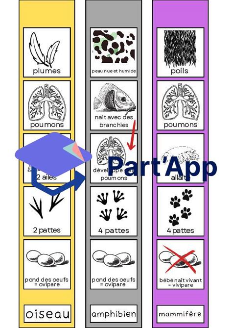 Partapp Classification Des Animaux