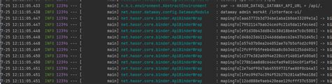 Springboot 集成 Dataway 快乐小洋人 博客园