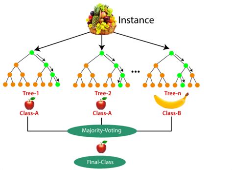 random forest algorithm praudyog