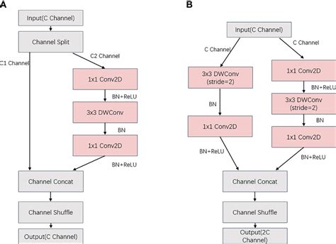 Frontiers An Improved Algae Yolo Model Based On Deep Learning For Object Detection Of Ocean