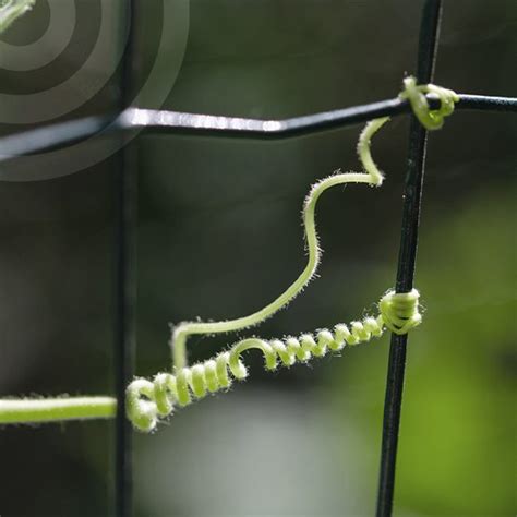 Stronger Together Exploring The Eu Taxonomy As A Tool For Transition Planning Clarity Ai