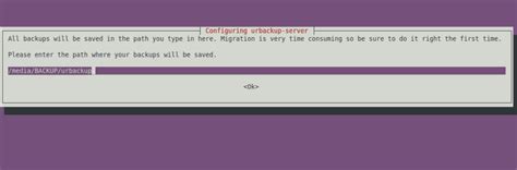 How To Install UrBackup Server And Client On Ubuntu LinuxWays