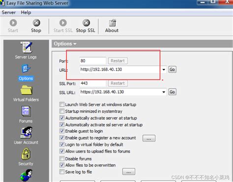 easy file sharing web server 缓冲区溢出漏洞 file sharing wizard 缓冲区错误漏洞 csdn博客
