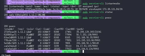 The Node Status Is Online But Other Nodes All Can Not Connecnt To Is · Issue 2174 · Zerotier