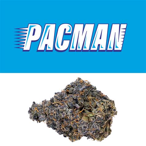 Buy Pacman 14g Small Buds Online Curaleaf Edgewater Park Edgewater