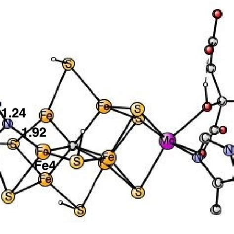 Optimal Structure For The Binding Of N 2 H Download Scientific Diagram