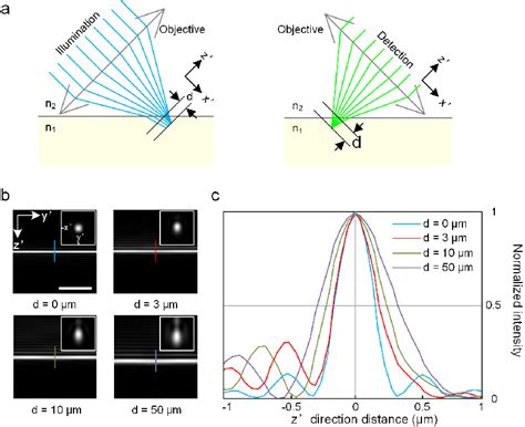 Figure 3 From High Axial Resolution Imaging System For Large Volume Tissues Using Combination Of
