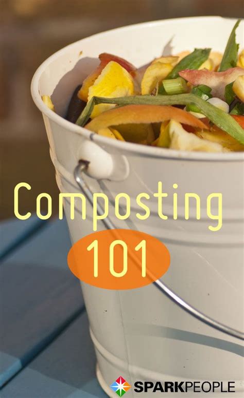 A Beginner S Guide To Composting Steps To Reduce Waste And Fertilize Your Garden Compost