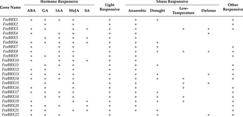 Cis Acting Element Identification In Fvebbx Genes Download