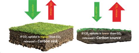 Uncertainty In Irelands Soil Carbon Sequestration Approach Agrilandie