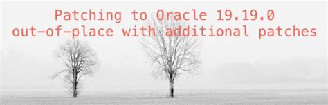 Patching To Oracle 19190 Out Of Place With Additional Patches
