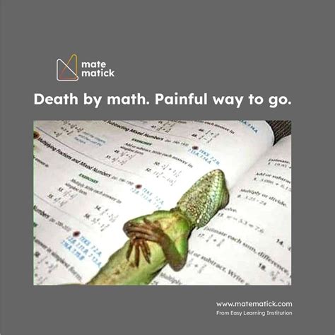 Math Jokes And Memes