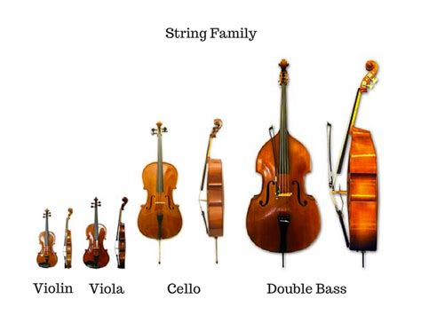 Instruments Of The Orchestra Strings