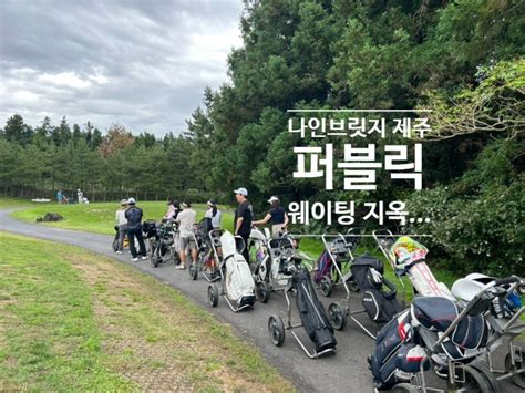 제주도 골프장 나인브릿지 퍼블릭 Vs 캐슬렉스 퍼블릭 네이버 블로그