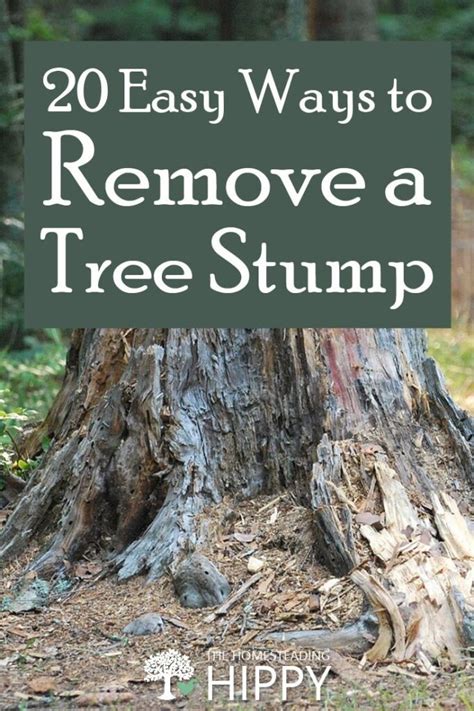 Easy Ways To Get Rid Of A Tree Stump