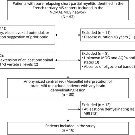 Flowchart Of The Patients Included Download Scientific Diagram