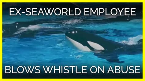 Disturbing New Details From Former Seaworld Employee Youtube