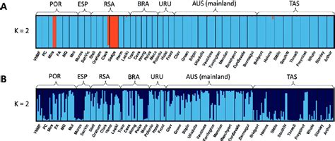 structure bar plots k 2 in the invasive and native ranges of acacia download scientific