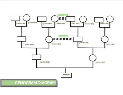 Free Genogram Templates Word PDF PowerPoint