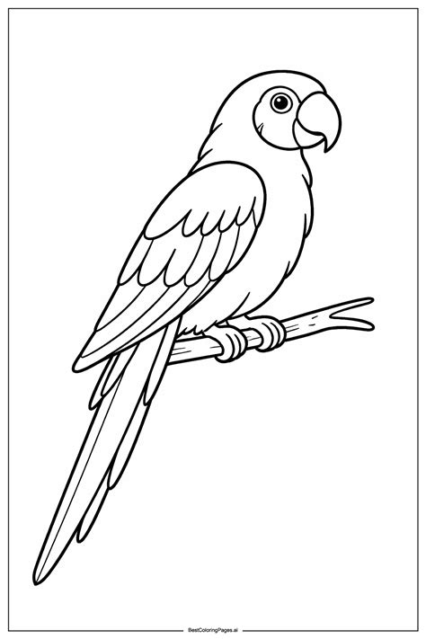 นกแก้วหันขวา หน้าระบายสี พิมพ์ฟรี Bestcoloringpages Ai