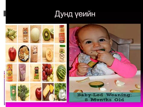 хооллох зажлах залгих үйл Pptx