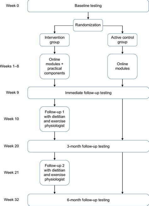 Timing Of Intervention Components And Testing Periods Download