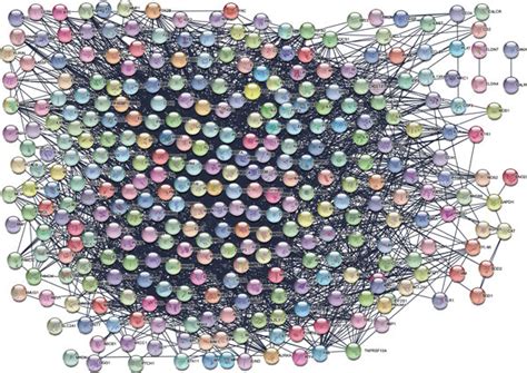 The Construction Of Protein Protein Interaction Ppi Networks And Download Scientific Diagram
