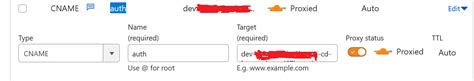 Custom Domain Not Being Verified Auth0 Community