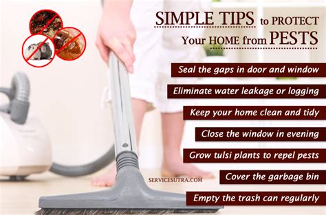 51 Tricks to Protect Your Home from Pests and Bugs - ServiceSutra