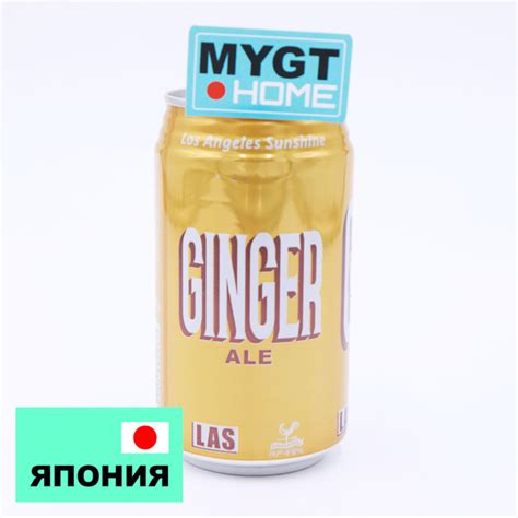 Напиток газ. Tominaga Имбирный, 350 мл, ж/б - купить с доставкой по ...