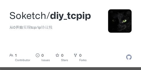 GitHub Soketch diy tcpip 从 开始实现tcp ip协议栈