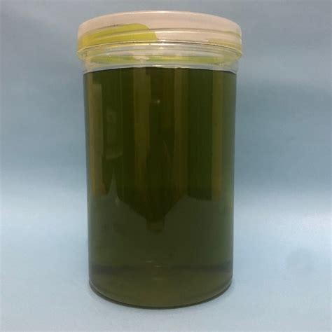 Jual Toples Tabung 1000 Ml Toples Tabung 1 Liter Toples Kue 1 Liter