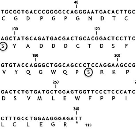 Varij Nayan Senior Researcher Bvsc And Ah Mvsc Phd Central Institute For