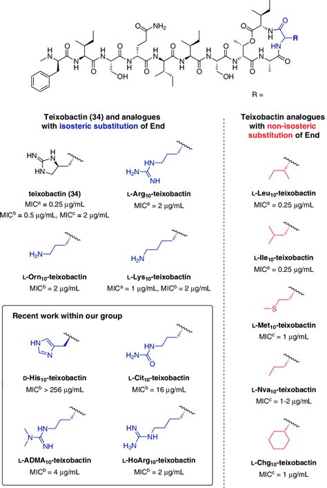 Teixobactin 34 And Its Related Key Analogues With Download