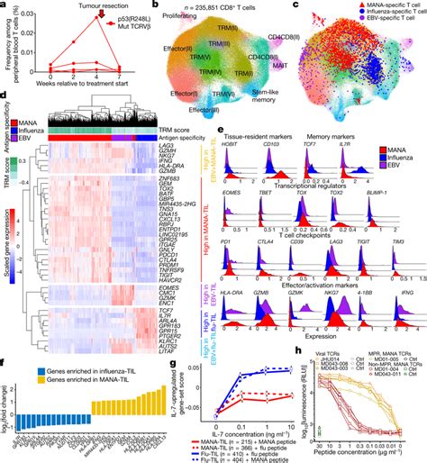 Characterization Of Antigen Specific T Cells In Nsclc Treated With Download Scientific Diagram