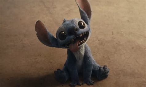 Chat With Experiment 626 Or Stitch Enjoy Free Ai Character Roleplay