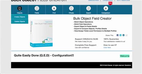 Salesforce Bulk Metadata Operations
