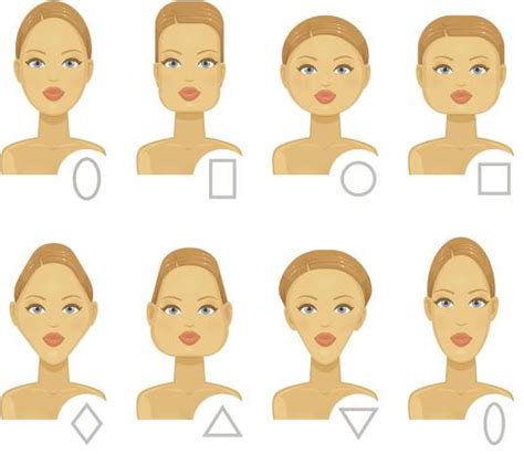 类型论 百度百科