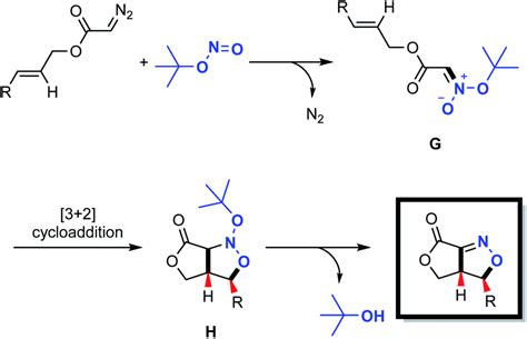Acyclic Nitronate Olefin Cycloaddition Anoc Regio And Stereospecific Synthesis Of