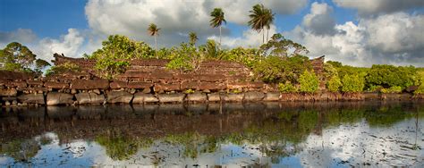 Mangrove Forest Pohnpei Eco Adventure Guide