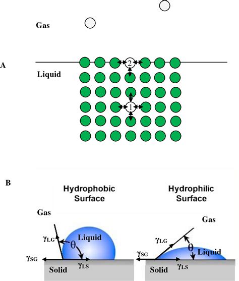 Figure 11 From Development Of The Constrained Drop Surfactometer