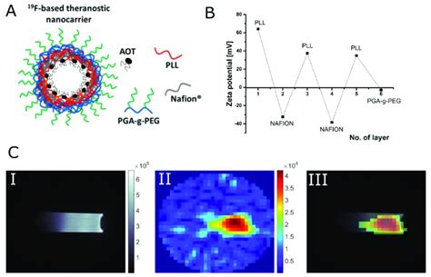 A Schematic Structure Of Polyelectrolyte Nanocapsules For 19 F Mri Download Scientific