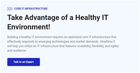 Leverage The Best It Infrastructure Services │ Alnafitha It