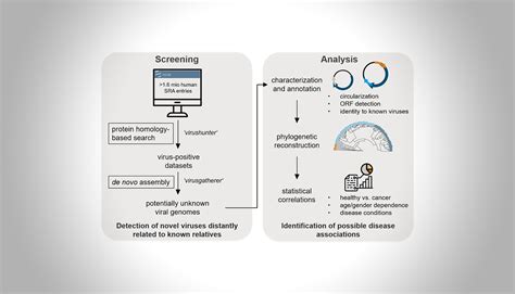 High Throughput Virus Discovery In Next Generation Sequencing Data