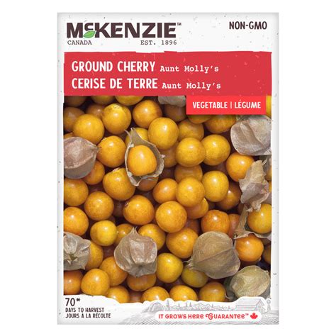 Ground Cherry Seeds Aunt Molly Mckenzie Seeds