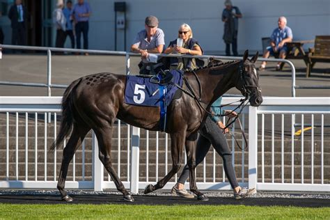 Grand Style - Racehorse Ownership
