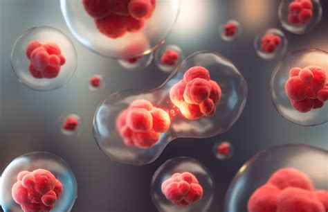 Induced Pluripotent Stem Cells Global Potential Of Induced Pluripotent