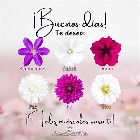 Feliz Miércoles Y Buenos Días Saludos Del Día