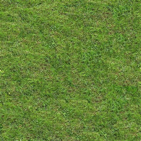Grass Textures 023 Grass Textures Grass Textures Lawn Grass