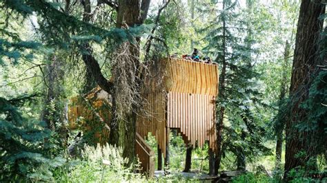 Charles Cunniffe Spruces Up Treehouse In Aspen With Local Assistance